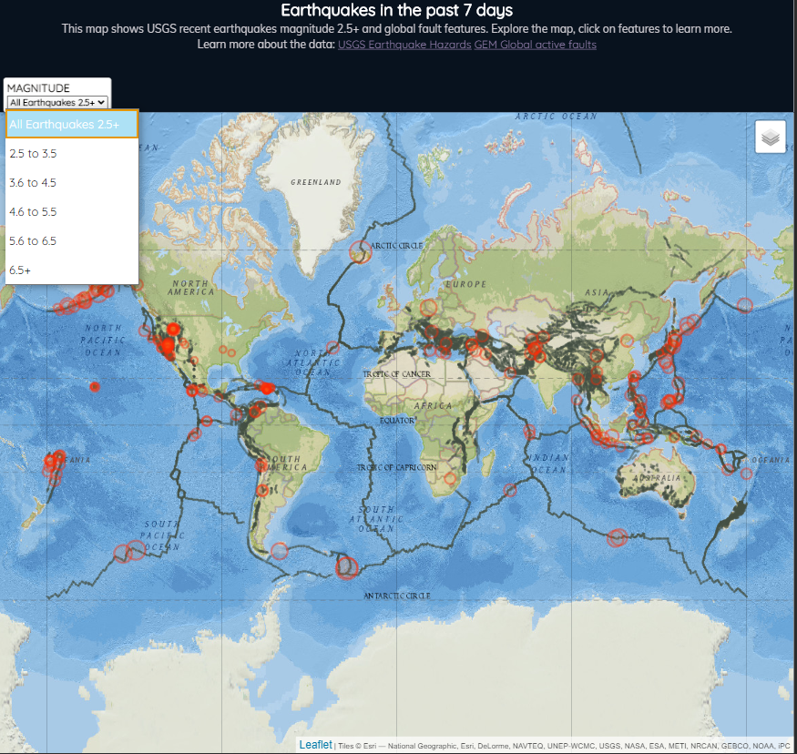 Kim McCallum | Portfolio